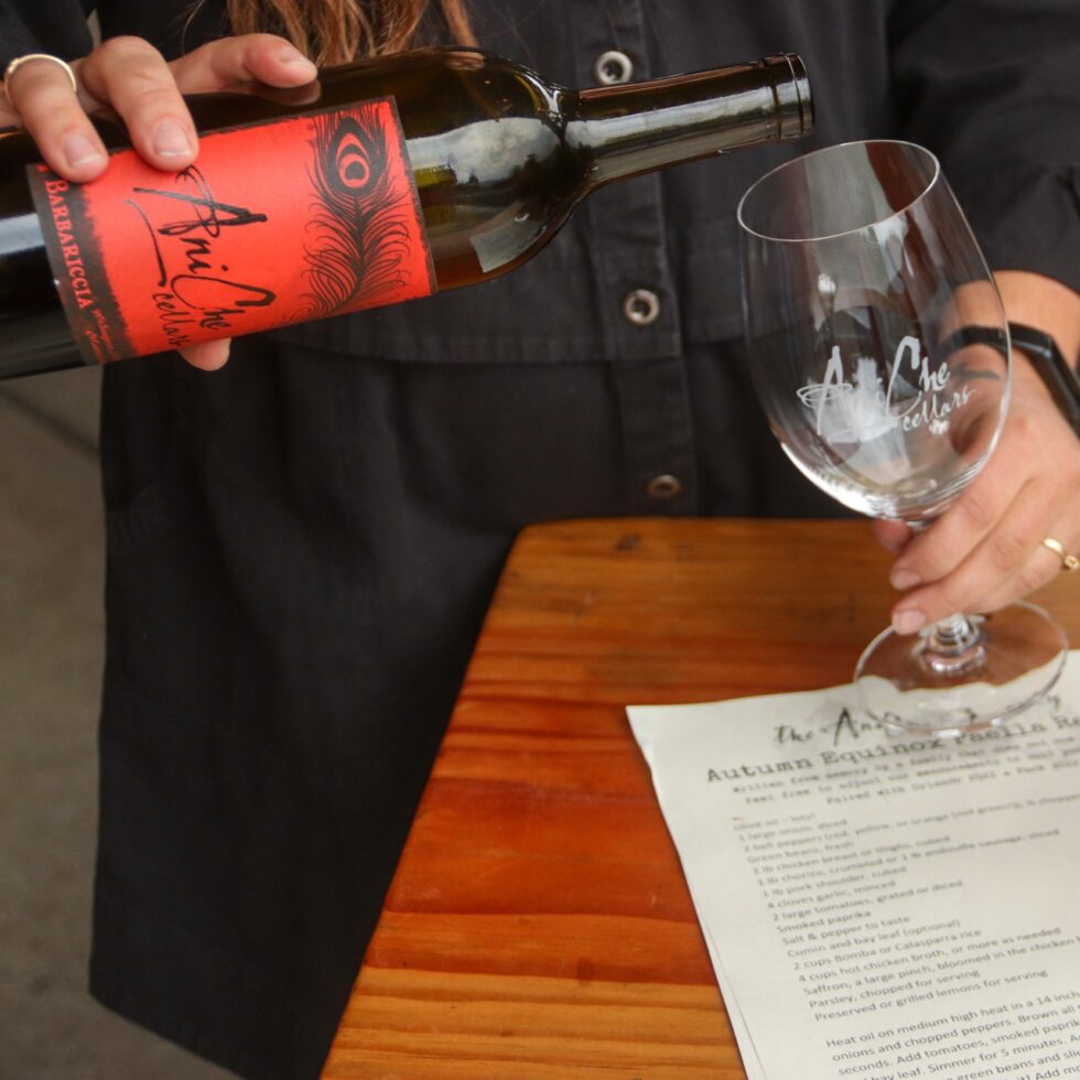 Wine Club | Aniche Cellars